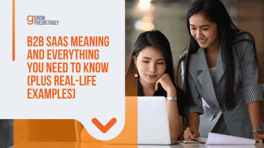 B2B SaaS Meaning and Everything You Need to Know + Examples